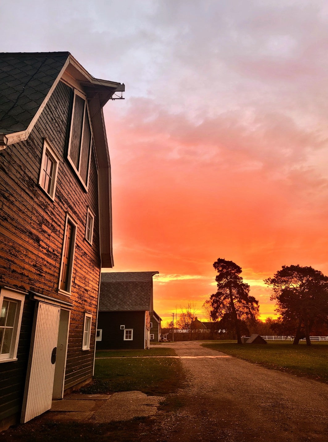 Fill Your Grill – Green Vale Farm Creamery
